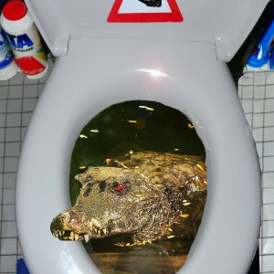 witzig | DPReview Forums