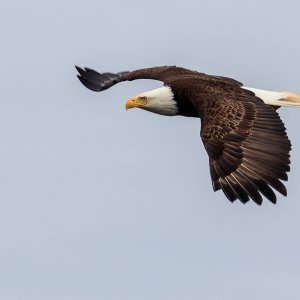 078 (1 von 1) | DPReview Forums