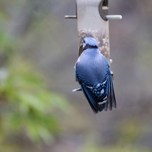 Fuji200mm-18 | DPReview Forums