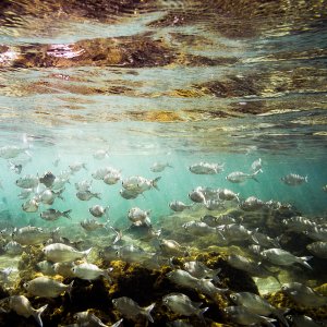 078 (1 von 1) | DPReview Forums