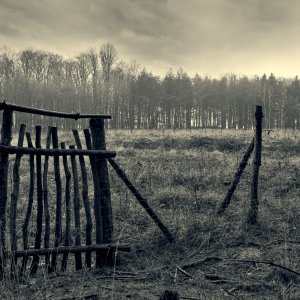 D72_8041_hdr | DPReview Forums