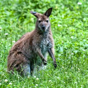 granby-zoo | DPReview Forums