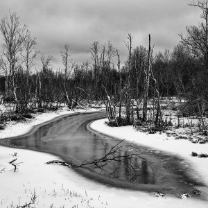 Early winter day, Levoberezhnoye, Yaroslavl Oblast, Russia | DPReview Forums