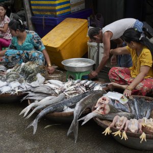 intro | DPReview Forums