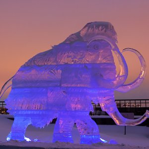 veistos | DPReview Forums