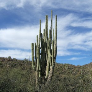 It's a big one. | DPReview Forums