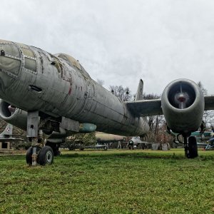 beagle | DPReview Forums