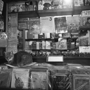 nikon-fe | DPReview Forums