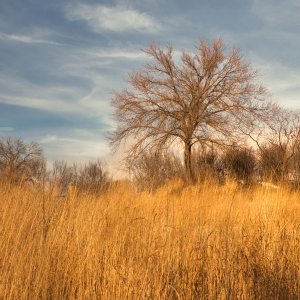 Standing Alone | DPReview Forums