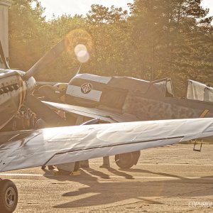 warbids | DPReview Forums