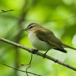 4-star | DPReview Forums