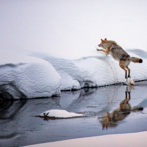 untitled shoot-8239-Edit-Edit-Edit-Edit | DPReview Forums