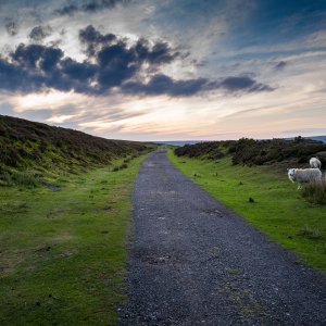 Summer Solstice Sunset 2020 | DPReview Forums