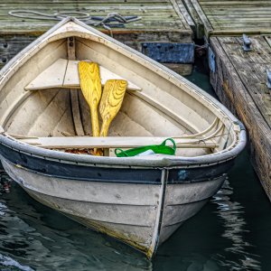 Row boat with yellow oars | DPReview Forums