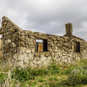 thatch | DPReview Forums