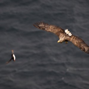 runde | DPReview Forums