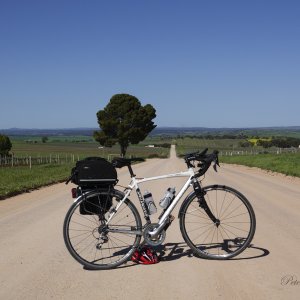 Tanunda 1 | DPReview Forums