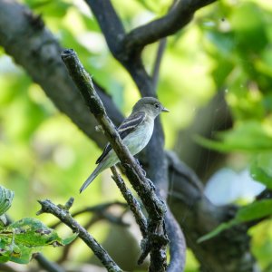 fuji-xf-100-400mm-f45-56-r-lm-ois-wr | DPReview Forums