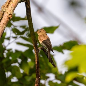 fuji-xf-100-400mm-f45-56-r-lm-ois-wr | DPReview Forums