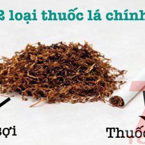 Phân loại thuốc lá | DPReview Forums