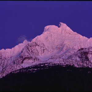 positive | DPReview Forums