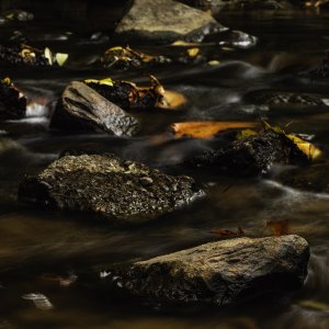 pentax-da-50-135ed-sdm | DPReview Forums