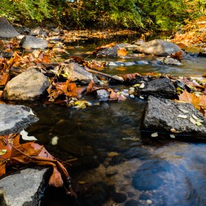 Fall Stream - Fuji 2020-5405 | DPReview Forums
