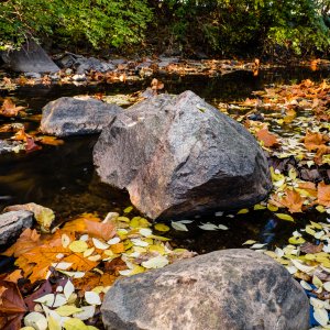 Fall Stream - Fuji 2020-5405 | DPReview Forums