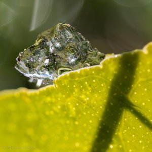 haus | DPReview Forums