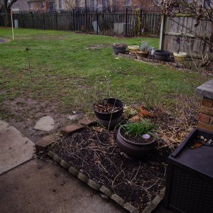 K-1 Wide Lens Shoot Out-1649 | DPReview Forums