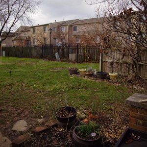 K-1 Wide Lens Shoot Out-1648 | DPReview Forums