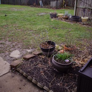 K-1 Wide Lens Shoot Out-1648 | DPReview Forums