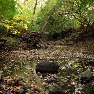 fujifilm-xf-16-55mm-f28-r-lm-wr | DPReview Forums