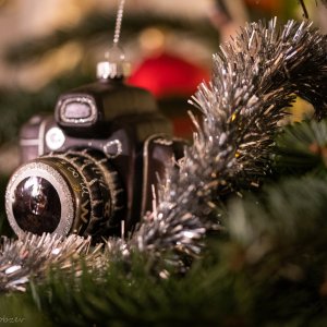 haus | DPReview Forums