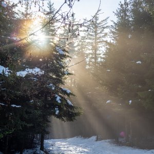 PC134679-HDR | DPReview Forums