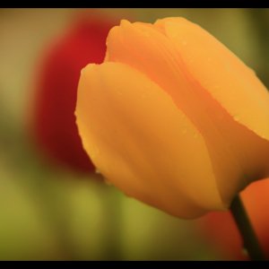 xxxx | DPReview Forums