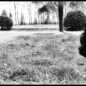 xxxx | DPReview Forums