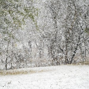 Moving Snow Challenge _1100074 | DPReview Forums