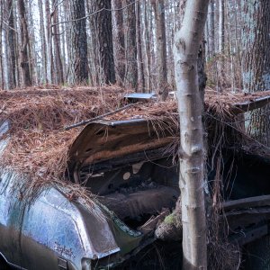 old-car-city | DPReview Forums