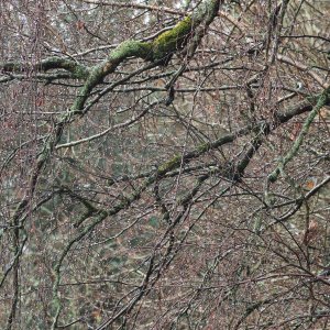 P2044219 | DPReview Forums