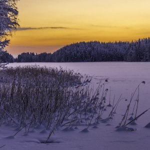 auringonnousu | DPReview Forums