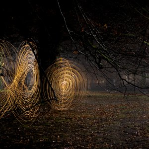 DPreview_Still life - Frank 1 | DPReview Forums