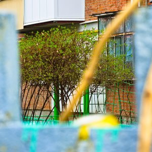 spring-2021 | DPReview Forums