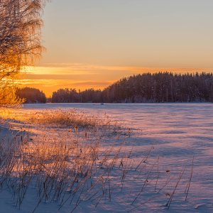 auringonnousu | DPReview Forums