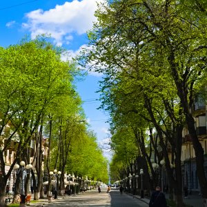 spring-2021 | DPReview Forums