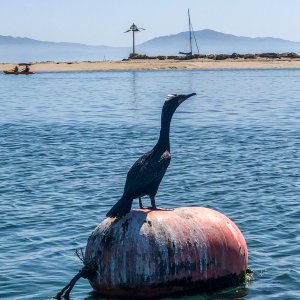 20210331-IMG_1425 | DPReview Forums