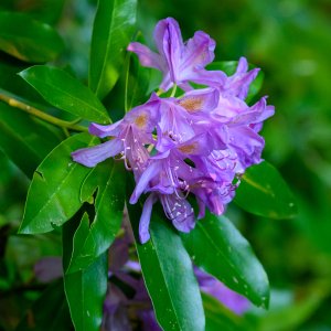 20210519027 | DPReview Forums