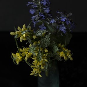 Still LIfe | DPReview Forums