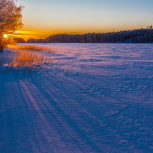 auringonnousu | DPReview Forums