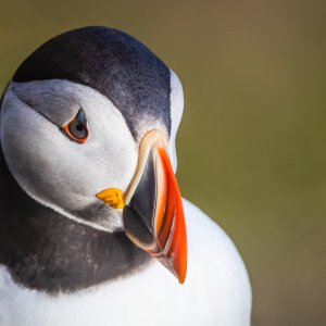 runde | DPReview Forums